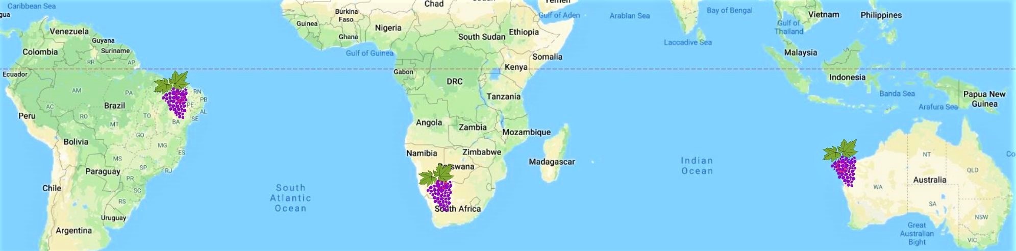 #280: Planet of the Grapes | Grapa Varieties Ltd.