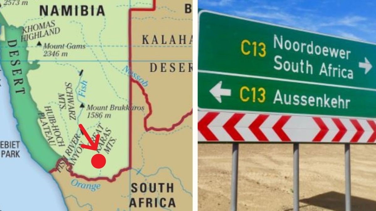 #305: ARRA & Early Sweet stars in Namibia | Grapa Varieties Ltd.