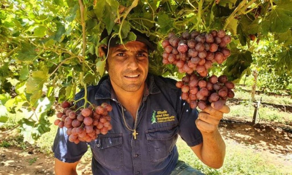 #309: Sharing the Australian Passion. | Grapa Global