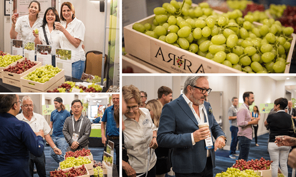 #352: The ARRA Field Days Effect | Grapa Global