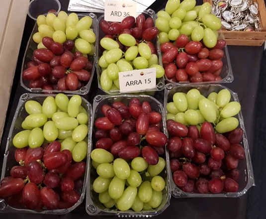 #352: The ARRA Field Days Effect | Grapa Varieties Ltd.