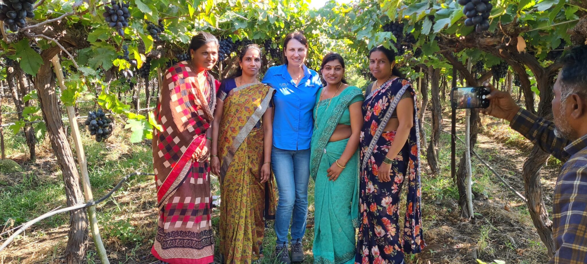 INDIA’S TABLE GRAPE INDUSTRY FEELS THE WINDS OF CHANGE | Grapa Global