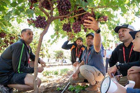 "ARRA Fire Crunch on show in Australia" | Grapa Varieties Ltd.